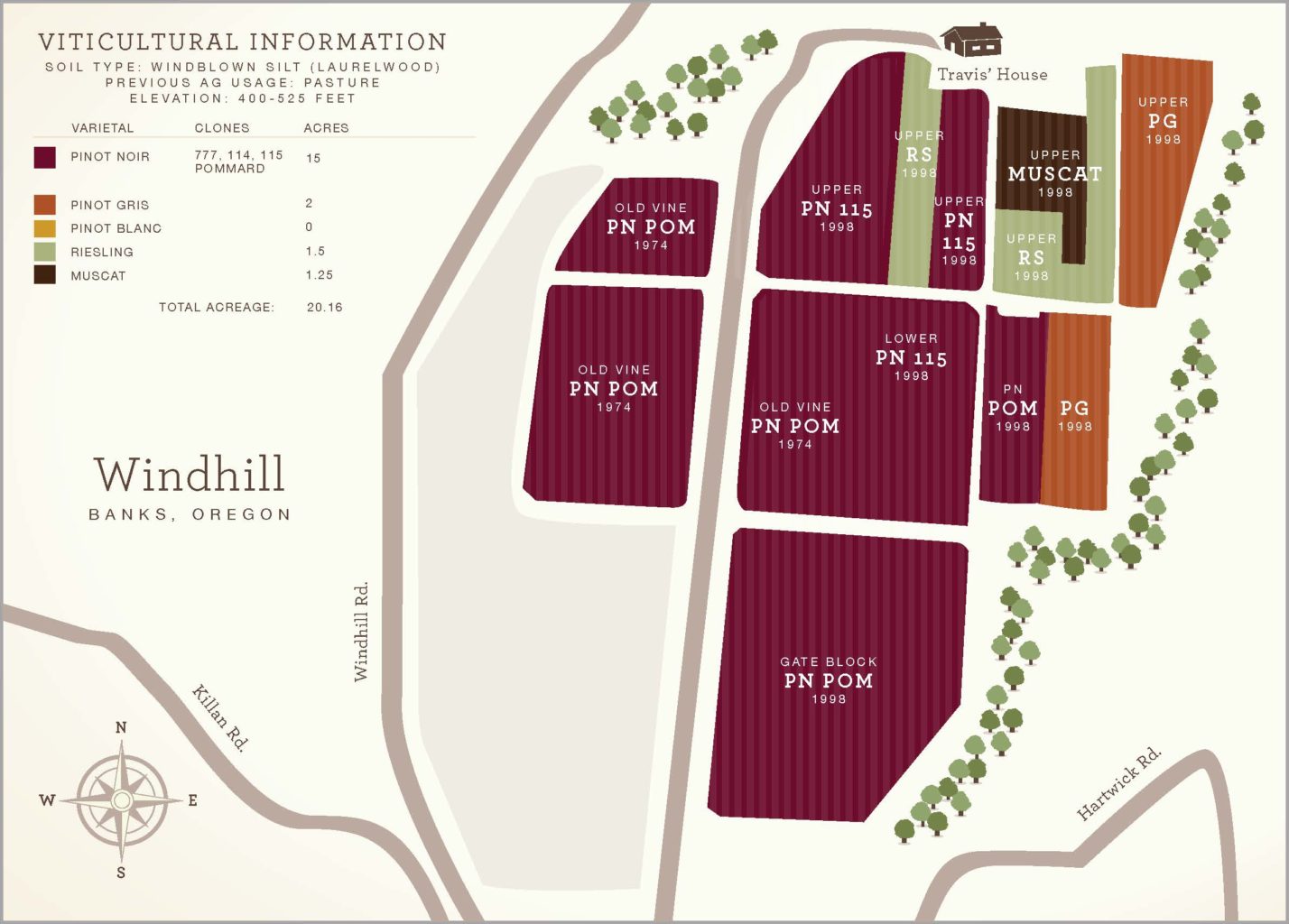 Windhill Vineyard - Elk Cove Vineyards